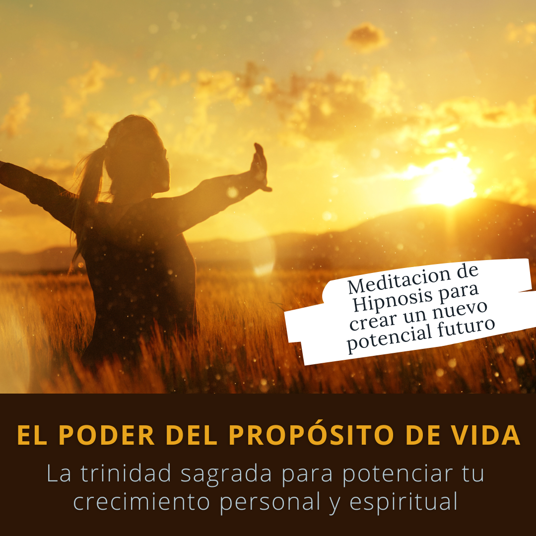 El poder del propósito de vida - Silvio Santone