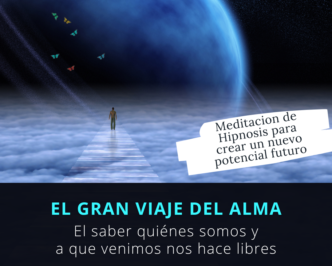 El gran viaje del alma - Silvio Santone